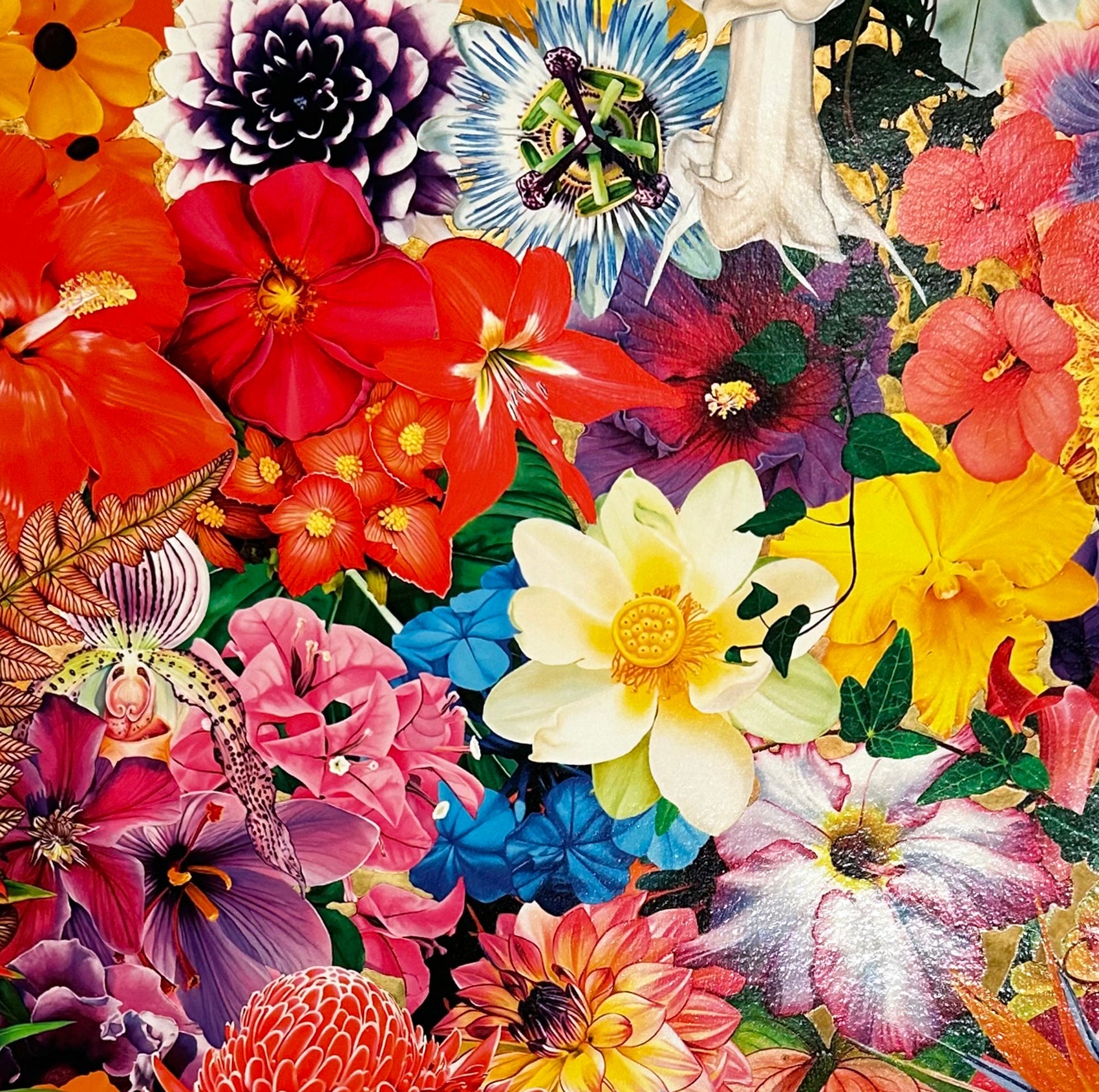 Carlos Rolon Golden Caribbean (Caribe Dorado) IV 2023 – Georgetown ...