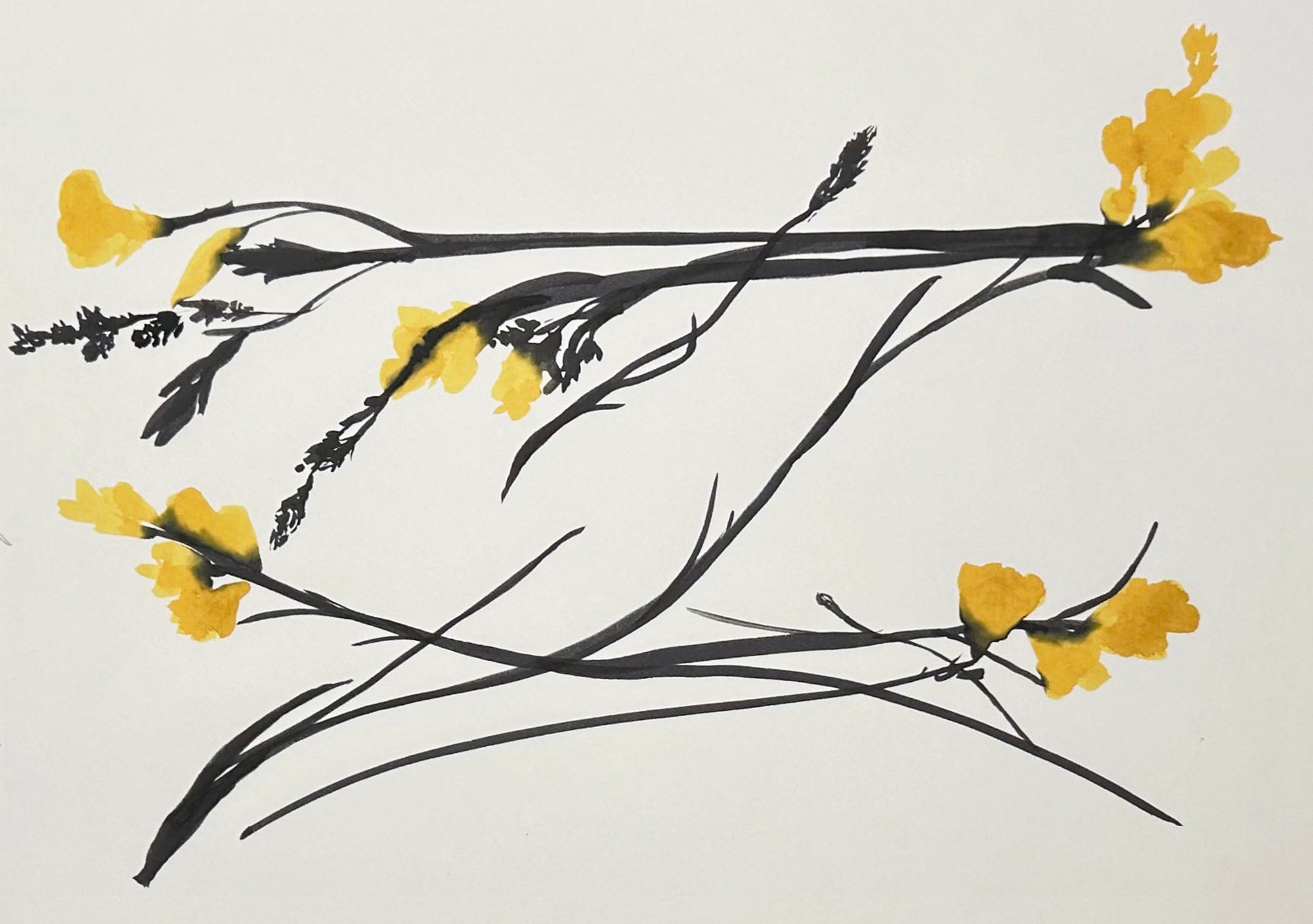 Donald Sultan Yellow Freesia, June 13, 2024 2024 – Georgetown Frame Shoppe