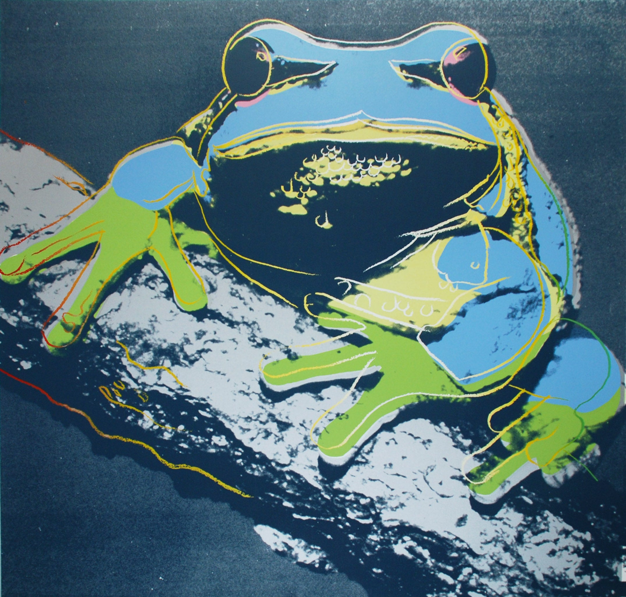 Andy Warhol Pine Barrens Tree Frog (proof) (Feldman IIB.294) 1983 ...
