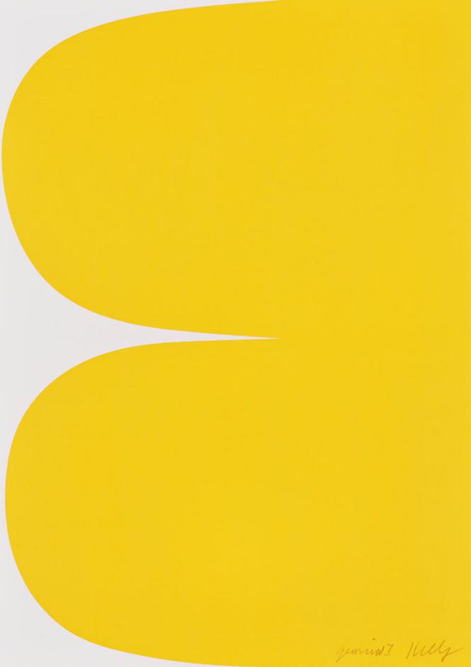 Ellsworth Kelly Yellow Curves 2013 – Georgetown Frame Shoppe