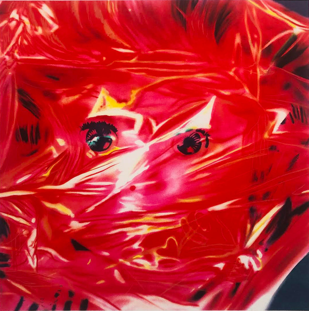 James Rosenquist Gift Wrapped Doll 1993 – Georgetown Frame Shoppe