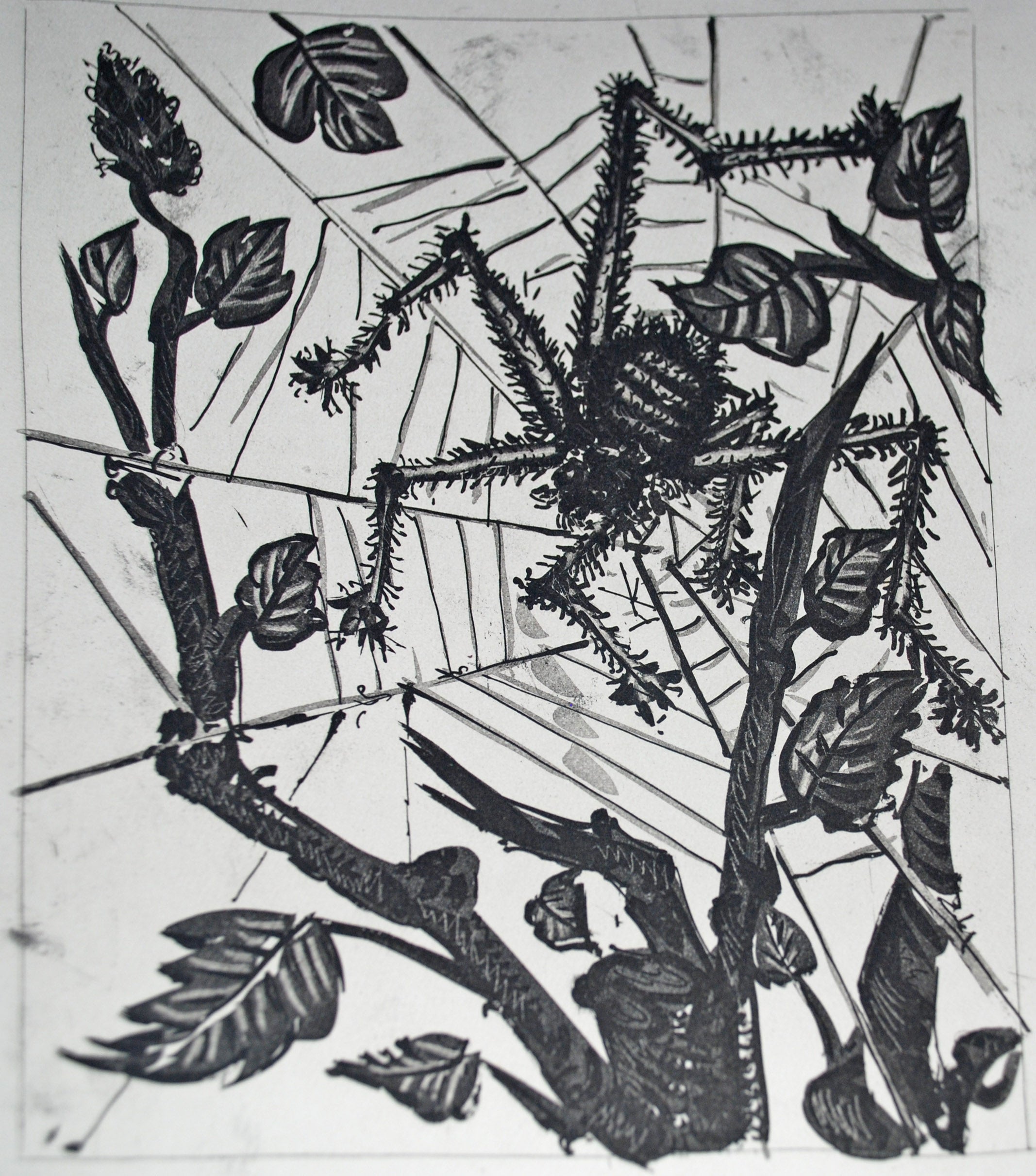 Pablo Picasso L'Araignee (The Spider) (Bloch 344, Cramer No. 37) 1942 ...