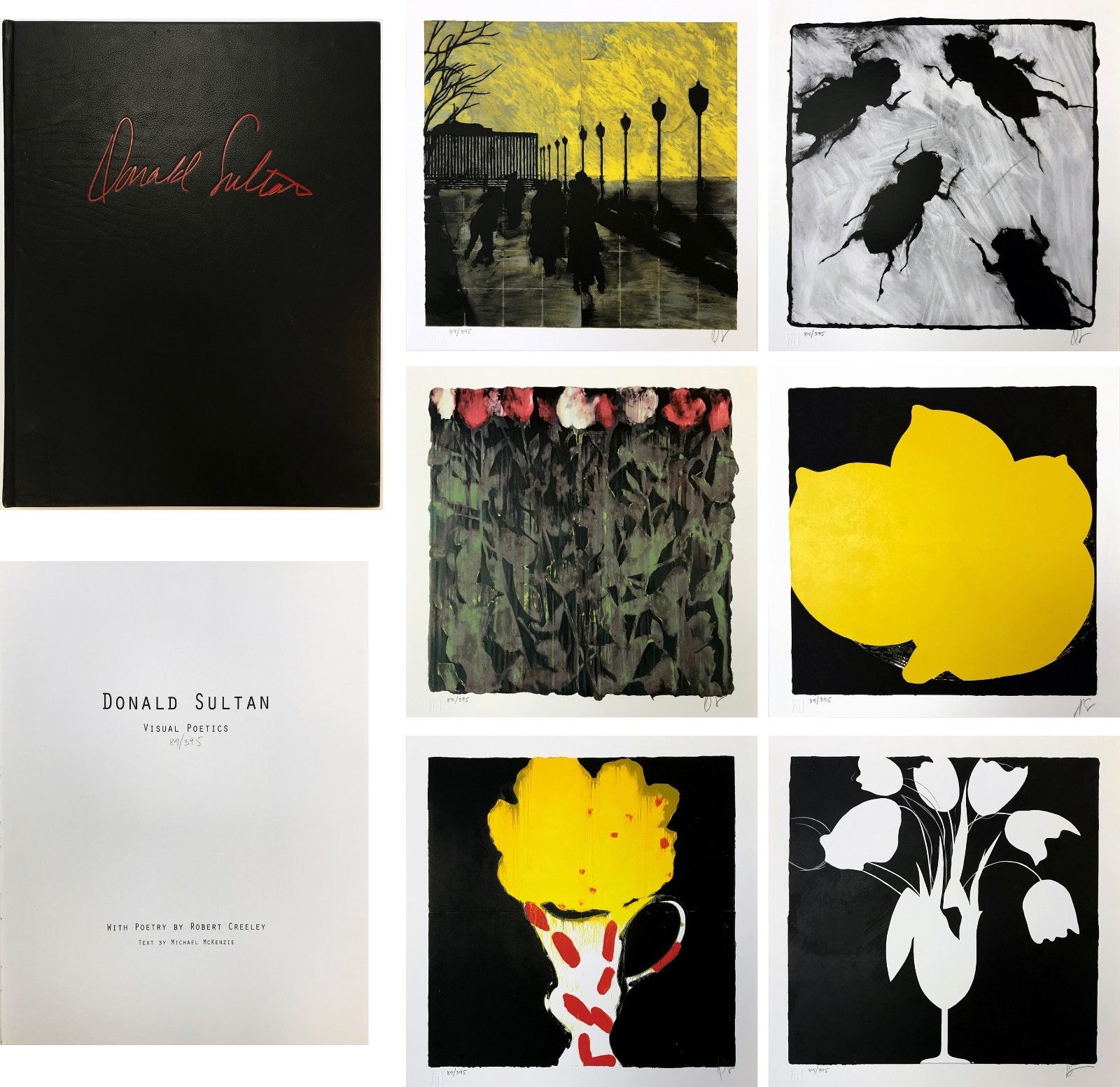 Donald Sultan Visual Poetics Portfolio 1998 – Georgetown Frame Shoppe